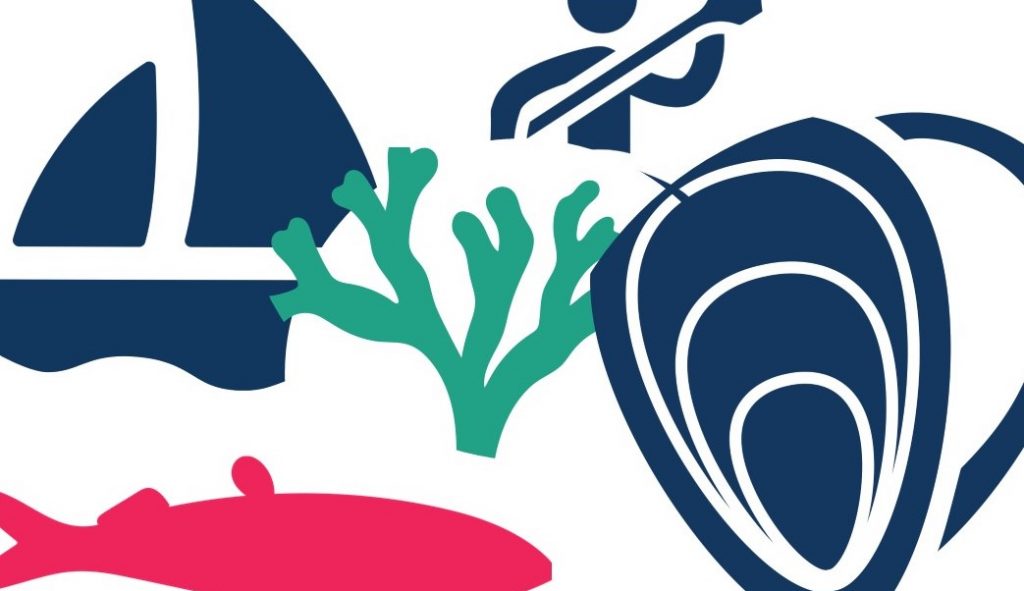 MAREA project final seminar materials – MAREA